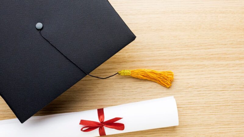 Choosing Your Path: The Key Differences Between DBA and PhD Programs in ...